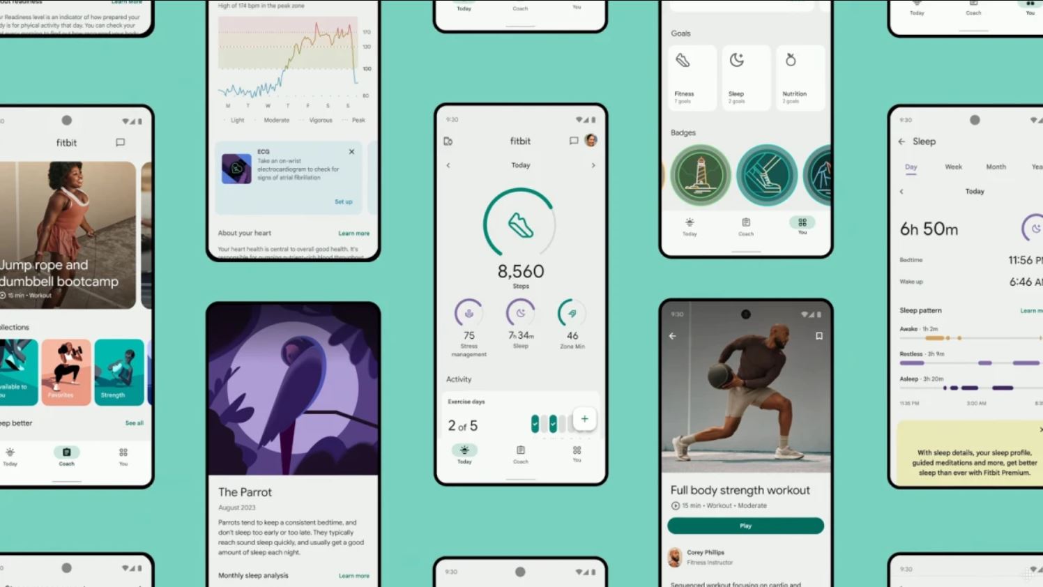 Google is finally rolling out the new Fitbit app! – CXOTECH
